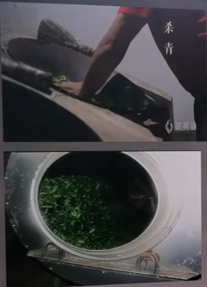 What Is Yancha: A Beginner's Guide to Wuyi Rock Tea