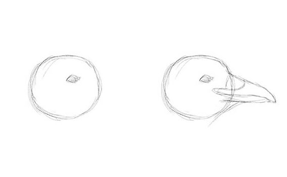 how to draw easy crow