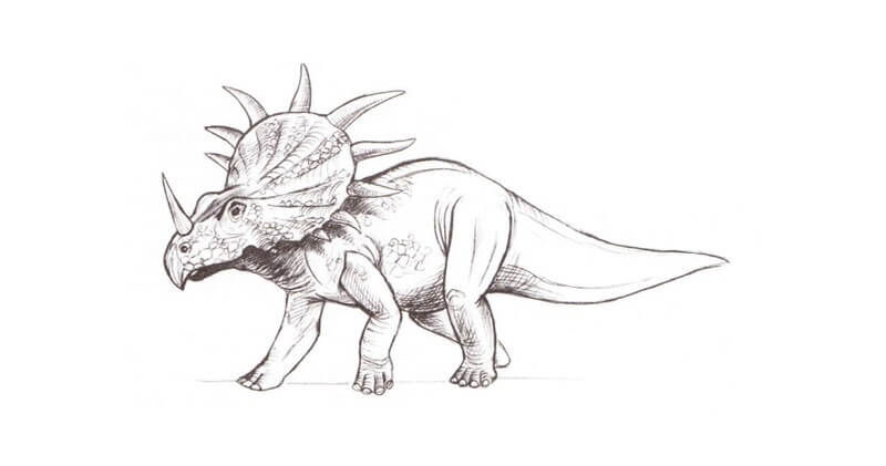 How to draw Styracosaurus with pencil step-by-step drawing tutorial