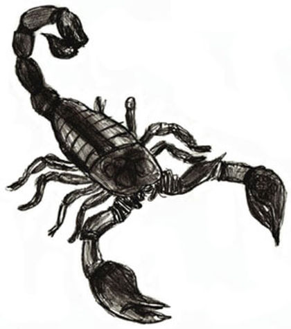 scorpion drawing easy