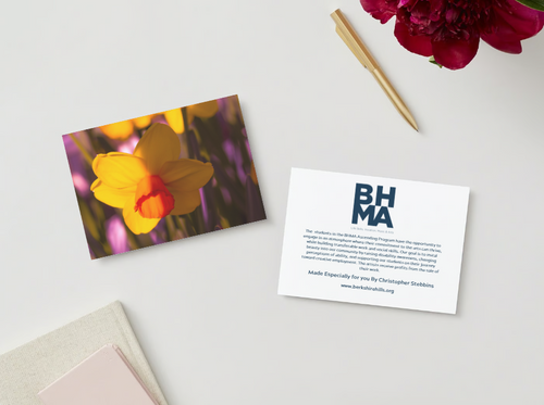 SPRING is HERE Cards Bundle | BHMA Makers