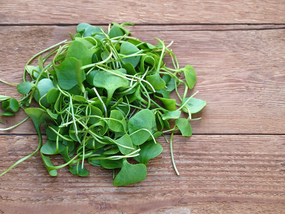 Why You Should be Eating Watercress
