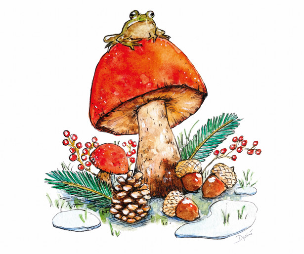 Highlands Studio | Studio d'illustration par Daphné Cordesse | France