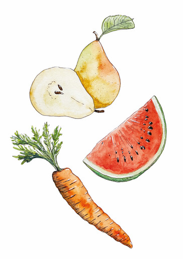 Highlands Studio | Studio d'illustration par Daphné Cordesse | France