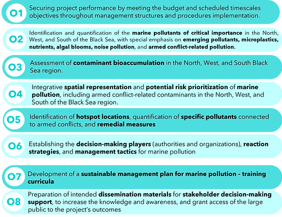 BSS Objectives | Incdpm