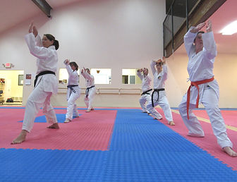 HOME | northforkkarate