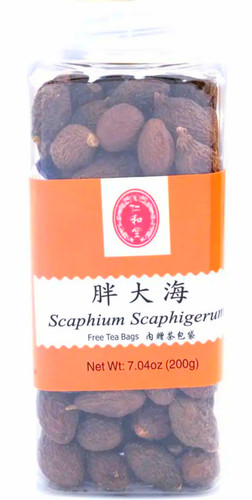 胖大海 Scaphium Scaphigerum 200g #31364 | Golden Bay Store