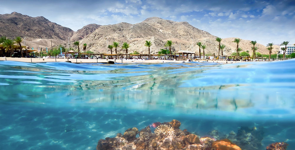 Bucear en Israel | El mar Rojo