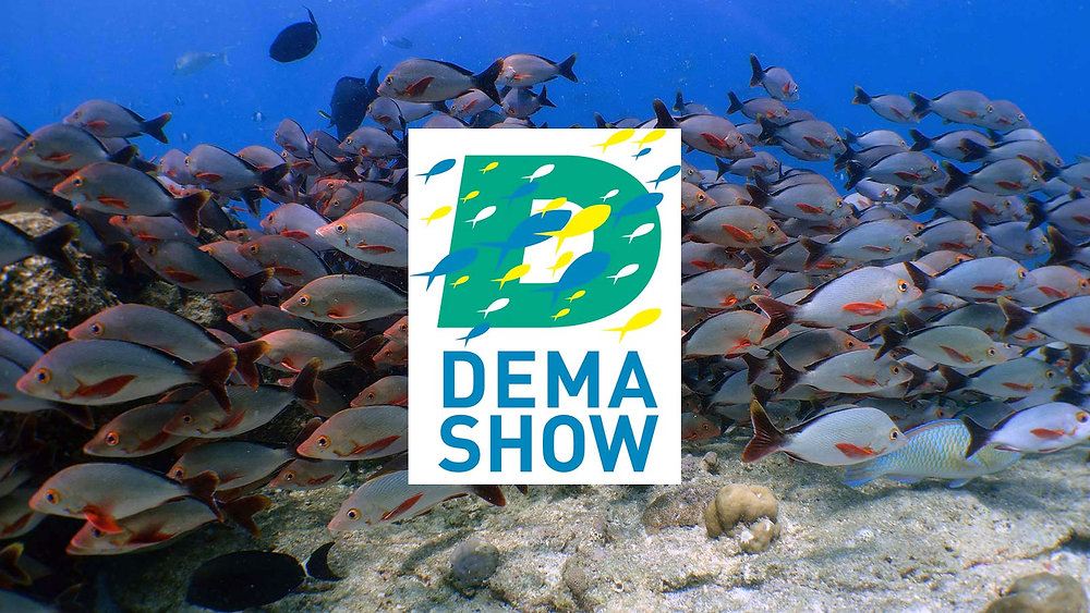 DEMA SHOW 2020