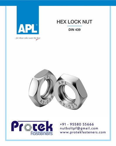 STAINLESS STEEL HEX CHECK NUTS (THINN NUTS) | Protek Fasteners