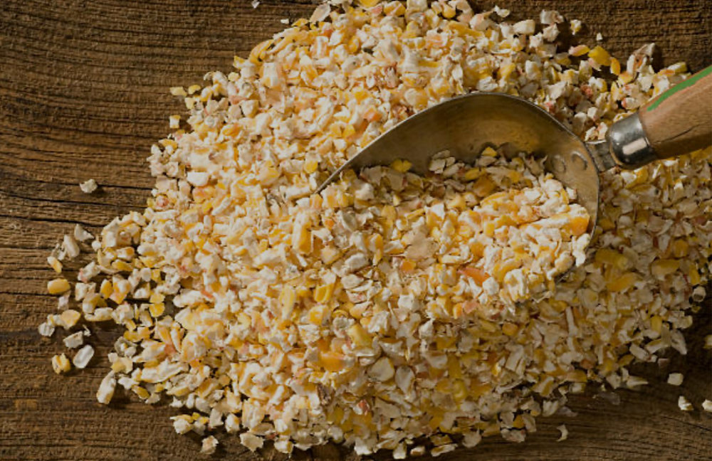 The Truth About Cracked Corn and Scratch Grains in Winter: What Your ...