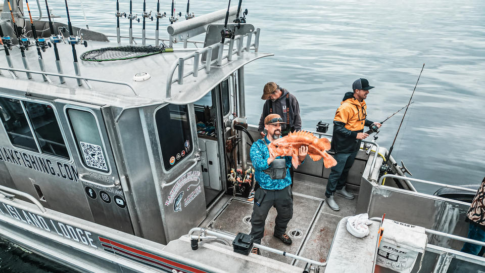 Gallery | Raspberry Island Lod