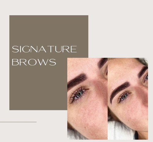 Signature Brows Training with kit | FEATURES BEAUTY