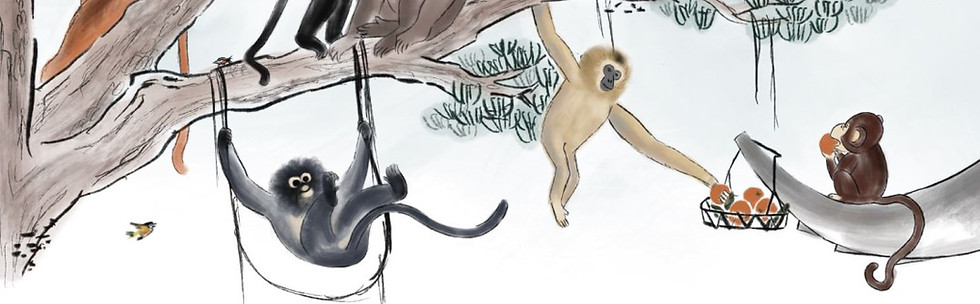 Abi the Monkey | Ofildelau