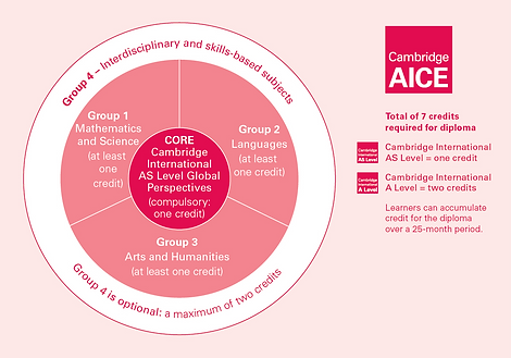 Home | Cambridge AICE at Mandarin High School