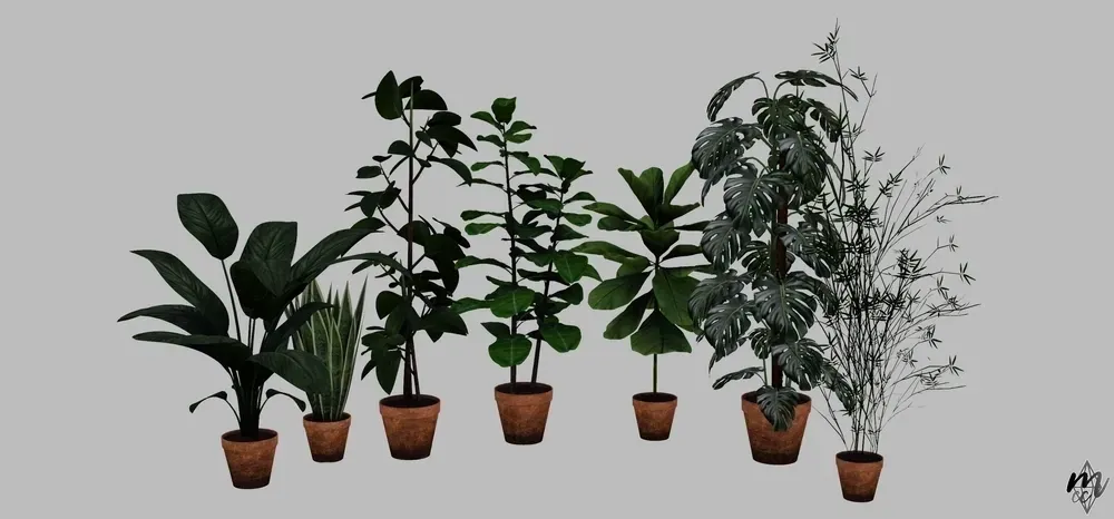 Novvvas - Planties | Pt. 3