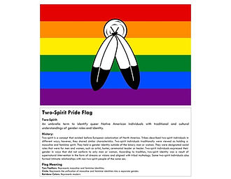 Indigenous - Two Spirit | TransparentAB101