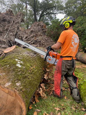 Home | KK Tree Service