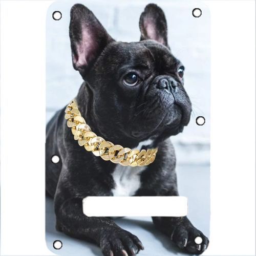 Custom Back Plate For Guitar | Guitar Any Way