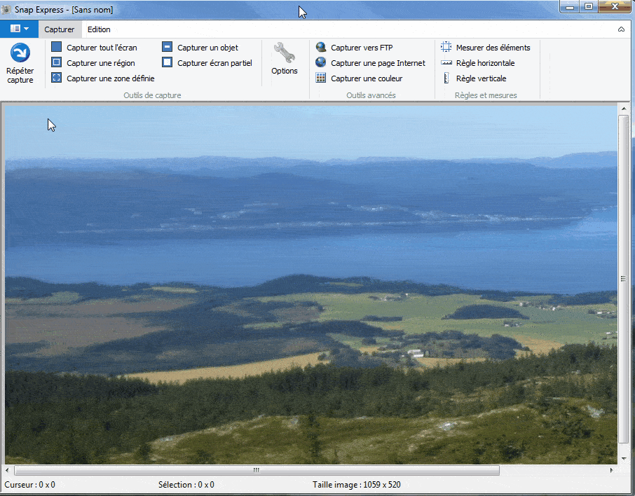 Snap Express - capture écran et traitement de la saisie | libellules.net
