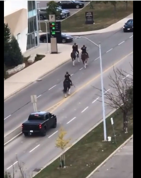TORONTO POLICE SERVICE MOUNTED OFFICERS TAKE DOWN ARMED SUSPECTS ...