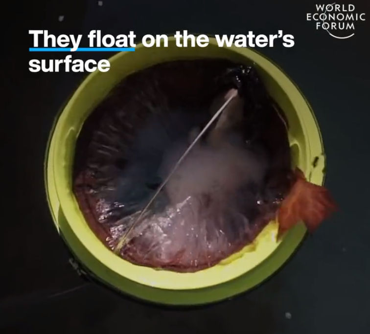 FLOATING GARBAGE BINS! | Jonathan McCormick