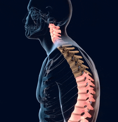 Postural Awareness and Your Senses.