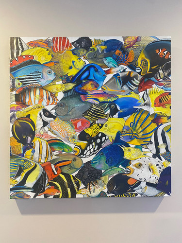 Saltwater Fish Collage | Bee Naree Art