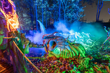 Gallery | markoffhauntedforest