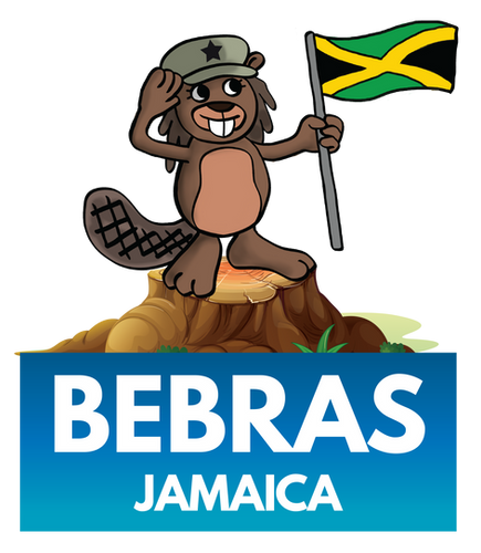 Bebras Challenge, Round 1 (HOL x PPP) | Halls of Learning