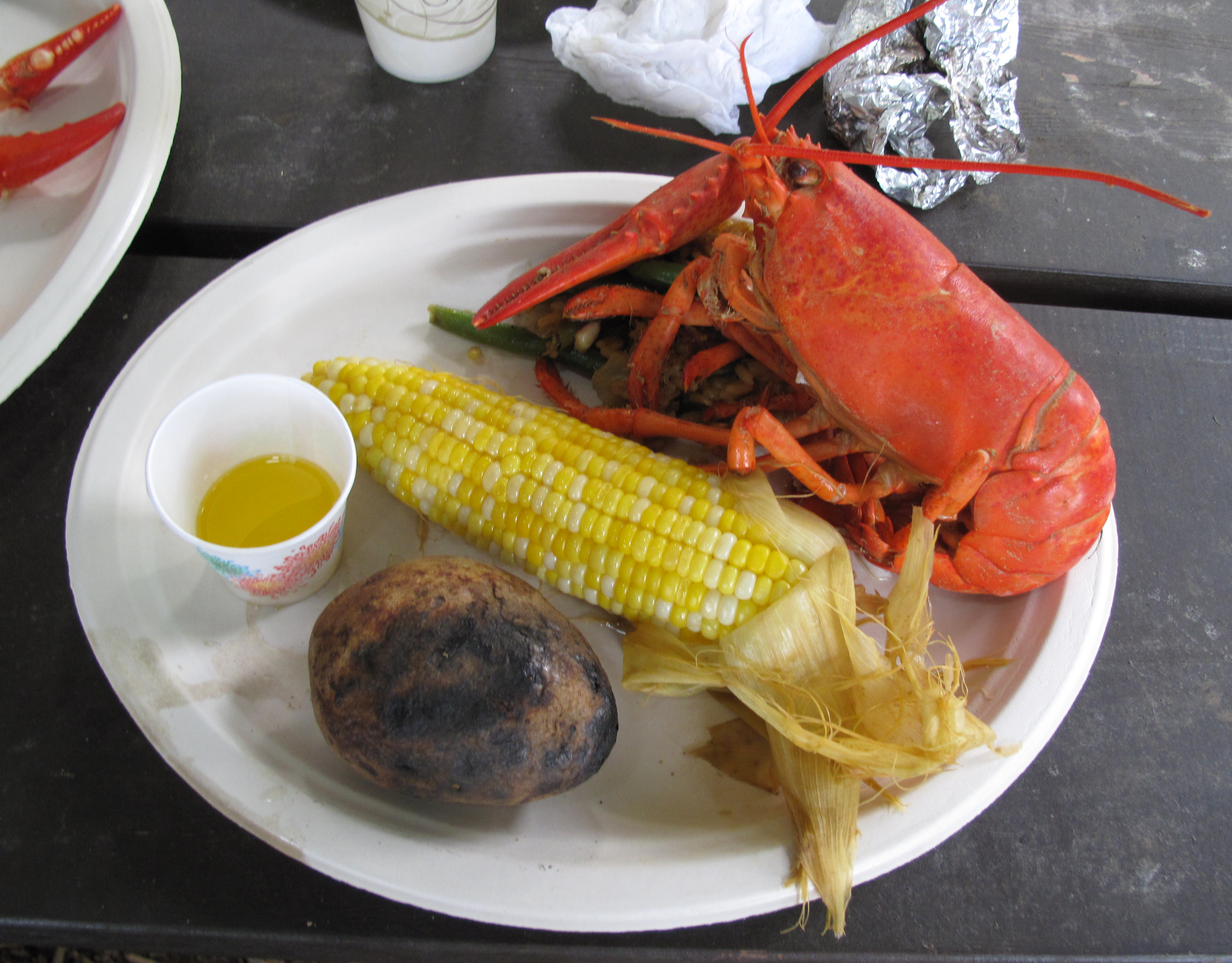 Maine Photo Gallery | sawmillcreekfe