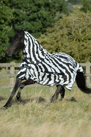Buzz-Off Zebra with detachable neck | Skyline Equine