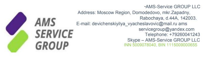 Ams-Service Group