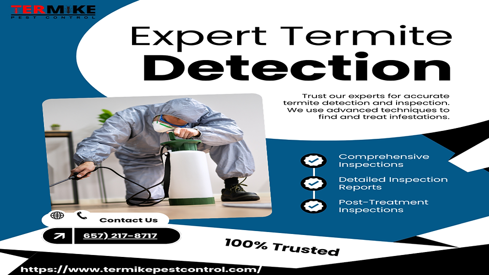 The Complete Guide to Termite Barriers in Fullerton