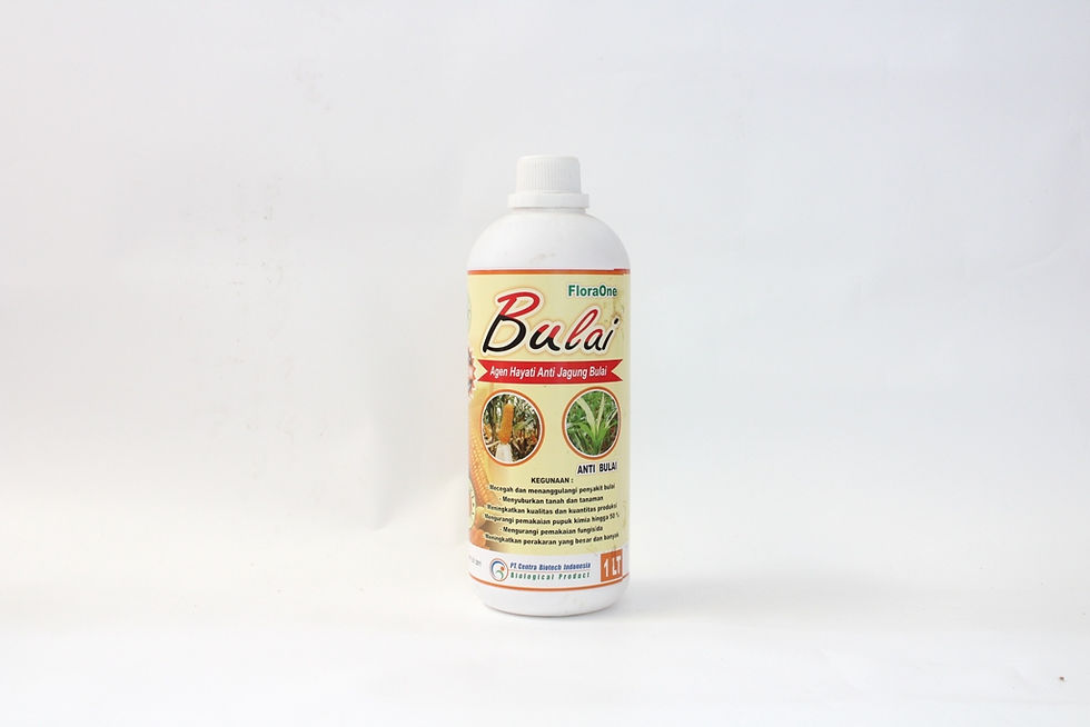 Bulai | Centra Biotech