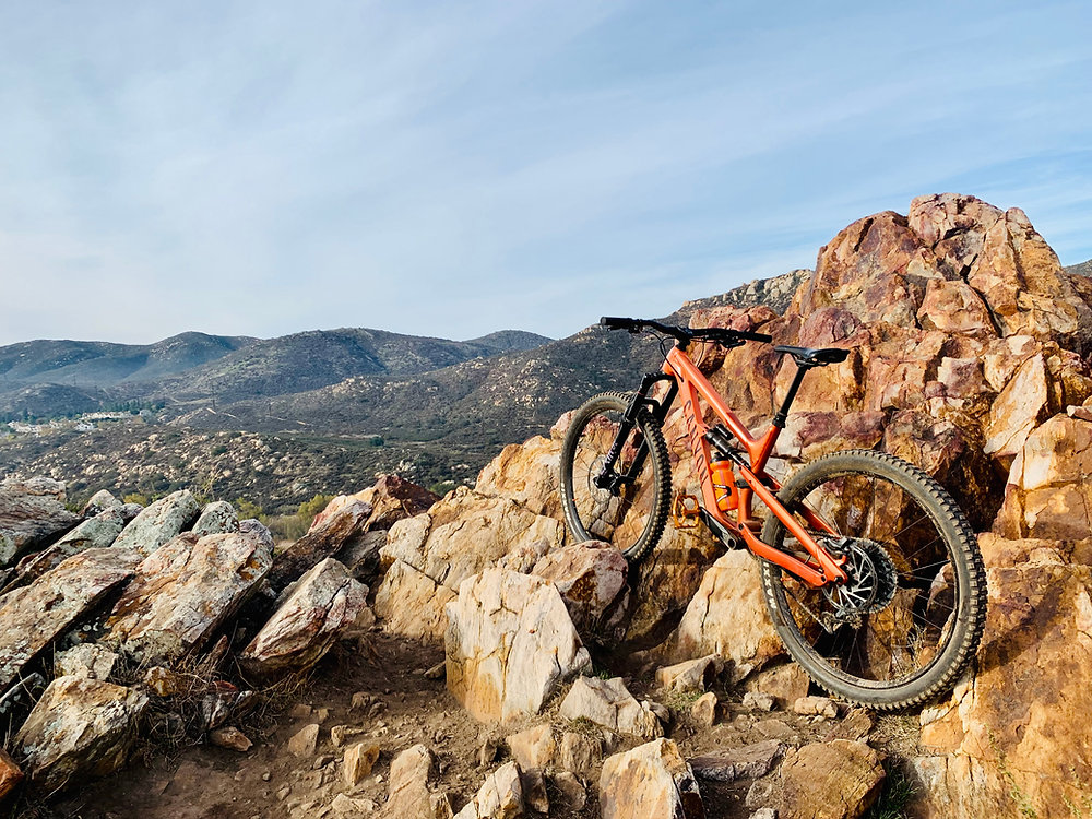 Canyon Spectral AL6 Review: Shopping your first MTB?