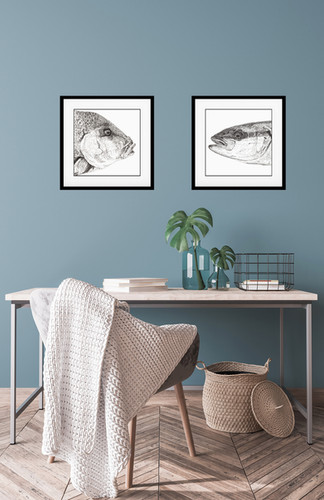 Fish Print Set | Coastal Art Gallery