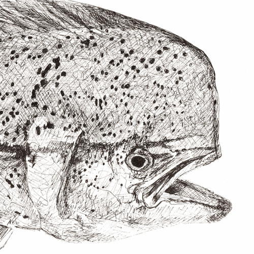 Mahi Mahi - Print No. 4/100 | Coastal Art Gallery