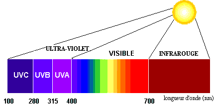 Les UV : qu'est ce que c'est?