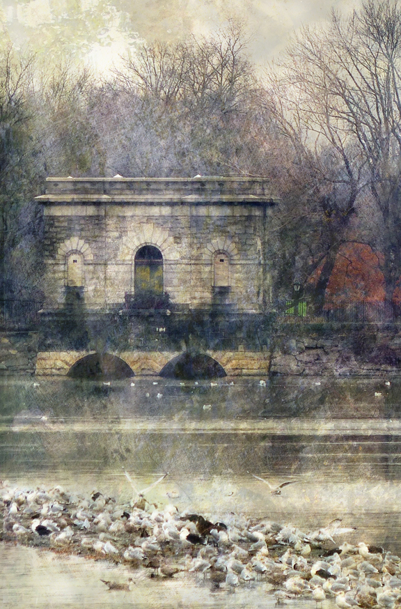 Deborah Baird (former member) | Nelson Gallery