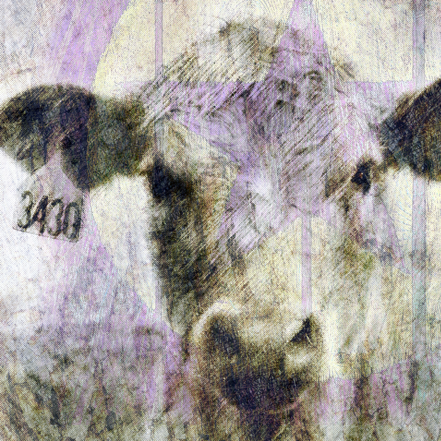 Deborah Baird (former member) | Nelson Gallery