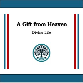 A Gift from Heaven | CR Biblical Resource