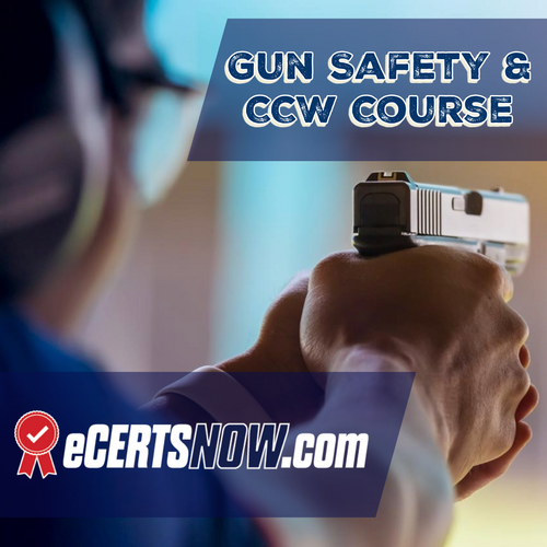 Gun Safety & CCW Permit Course | eCertsNow.com