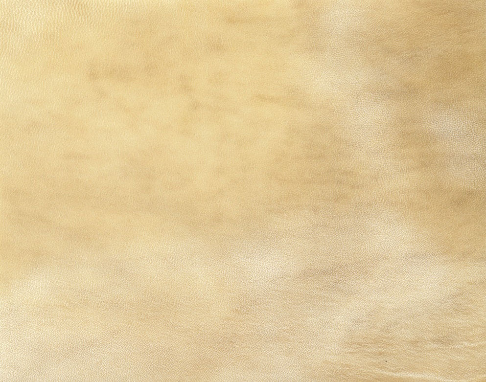 Beginning Calligraphy | home