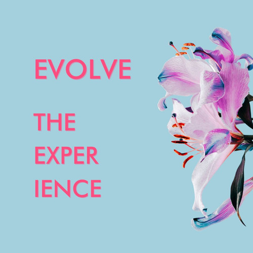 EVOLVE THE EXPERIENCE | High Heels Intensive