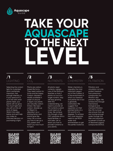 AquascapeGuide Educational Poster (Digital Copy) | AquascapeGuide