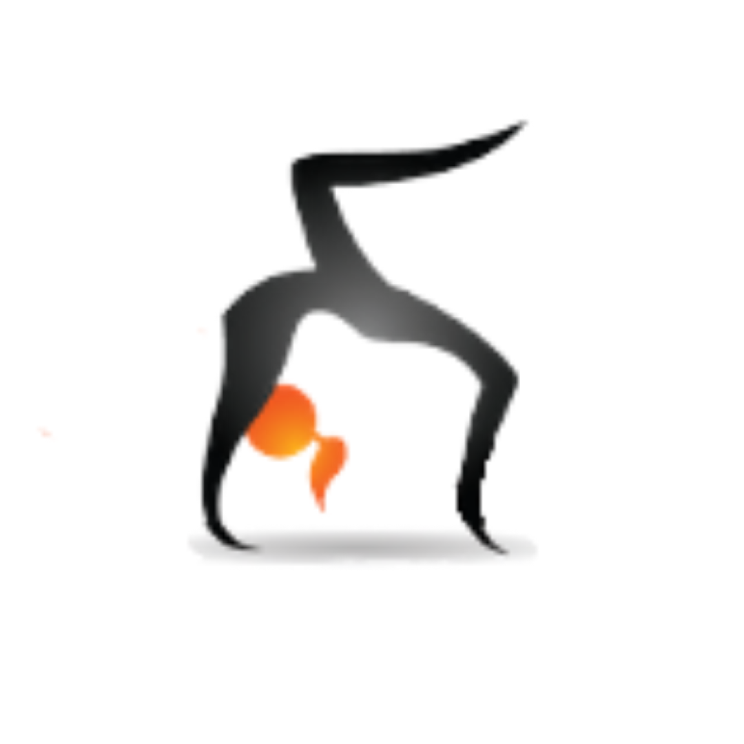 SPECIAL PROGRAMS | Dynamix Gymnastics