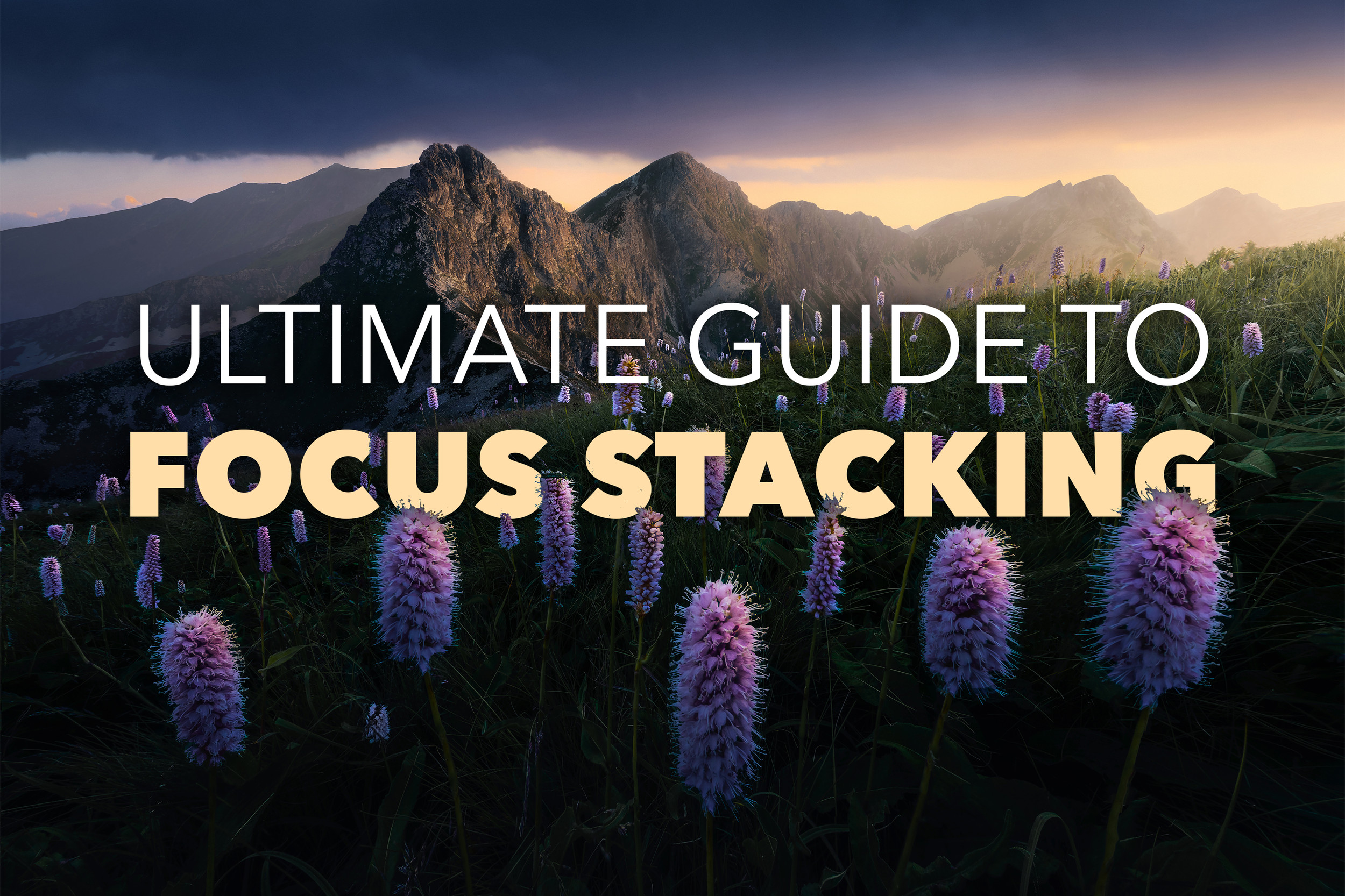 Ultimate guide to Focus stacking