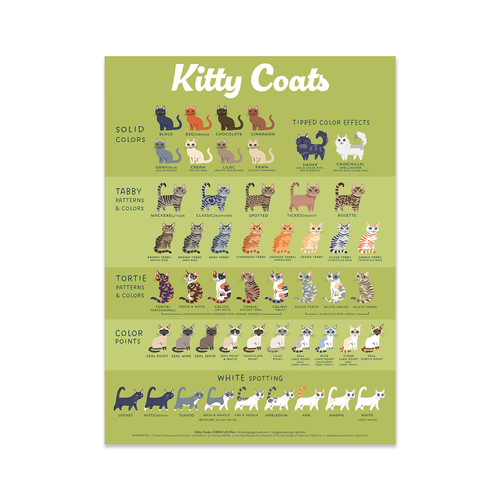 KITTY COATS Cats Poster 18x24 inches | doggiedrawings