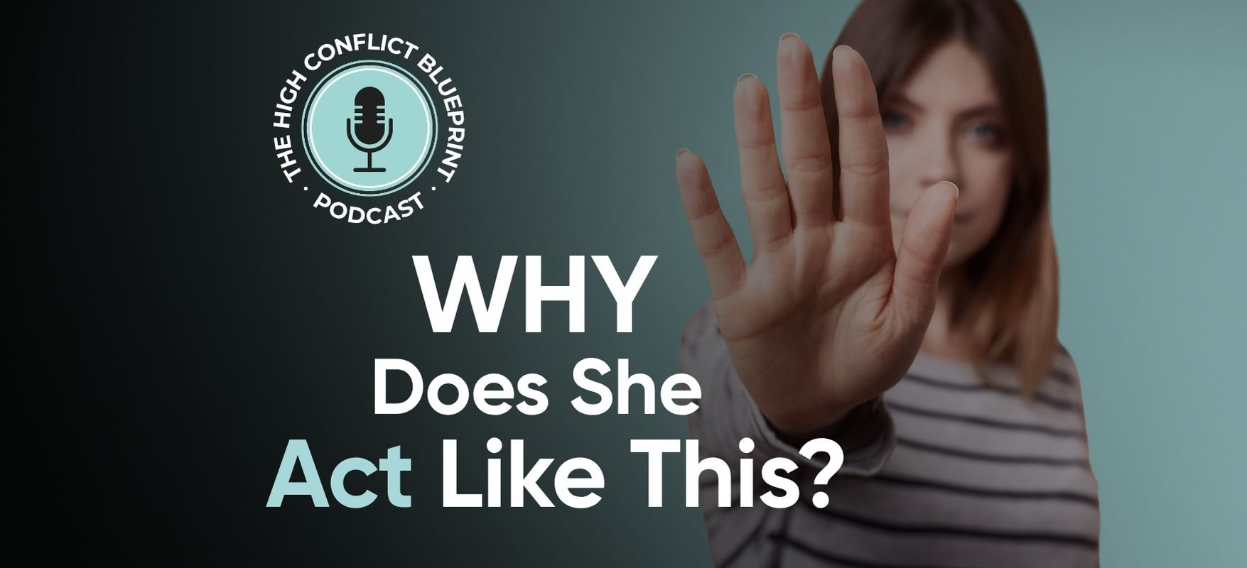 Why Does She Act Like This? The High Conflict Ex Explained | High ...